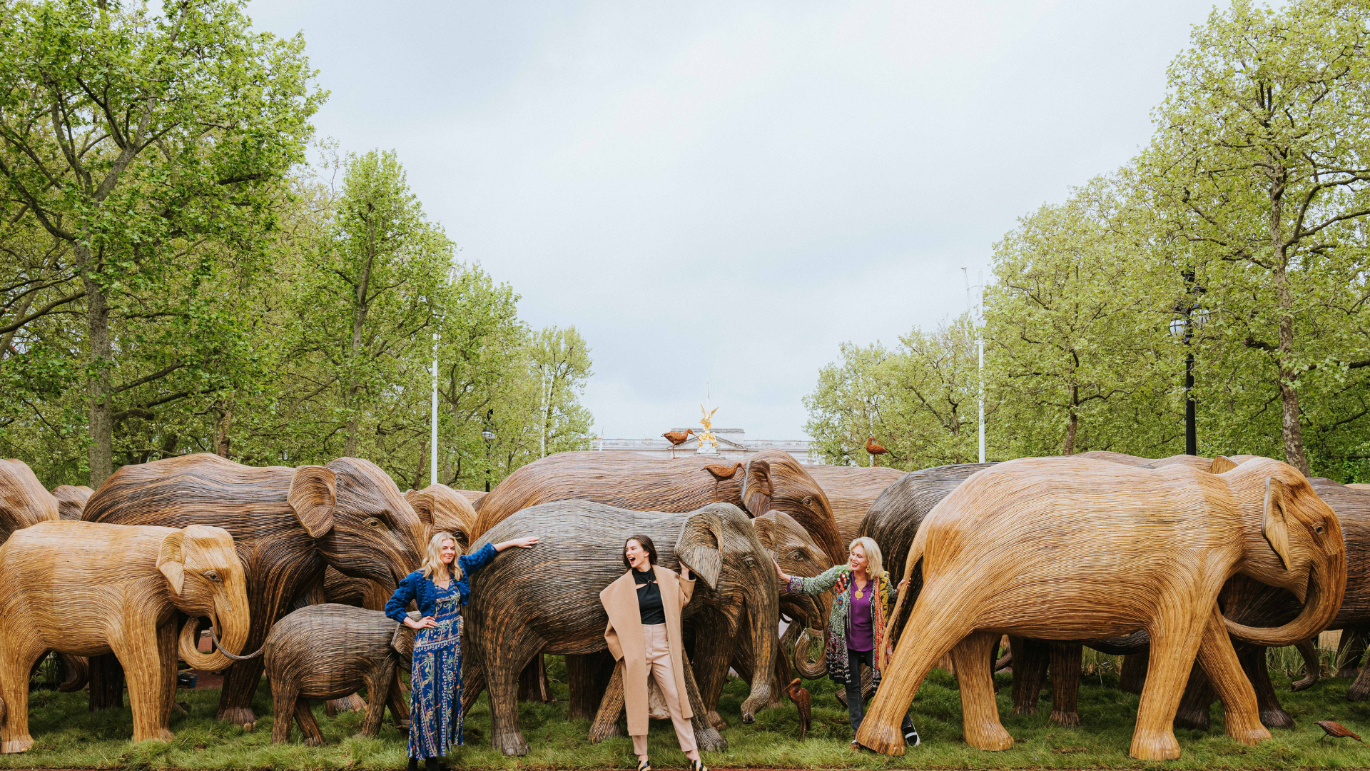 The Great Elephant Migration: 100 life-sized Indian elephants tour the U.S